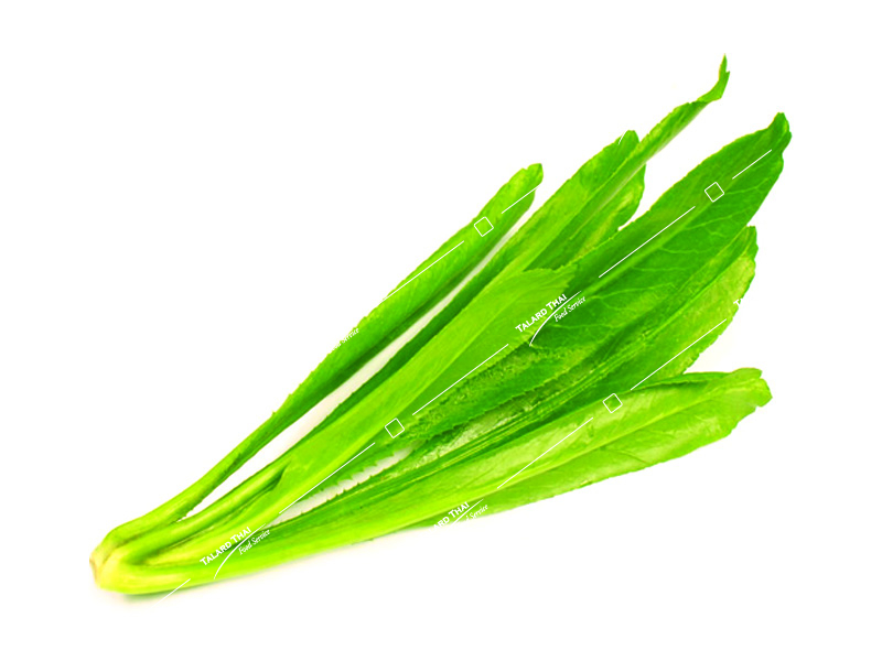 PAK CHEE FARANG (PARSLEY) 100 g. - Talard Thai Food Service