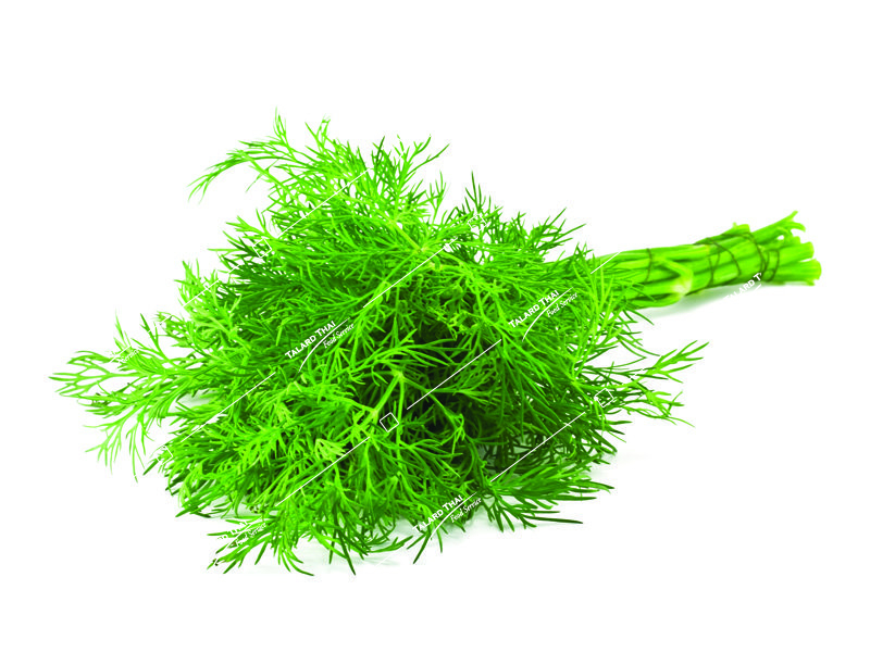 PAK CHEE LAOS (LAOS CORIANDER) (DILL) 100 g. - Talard Thai Food Service
